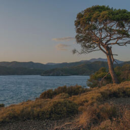 Kabak Beach (Koyu) in Fethiye, Turkey: Location & Activities