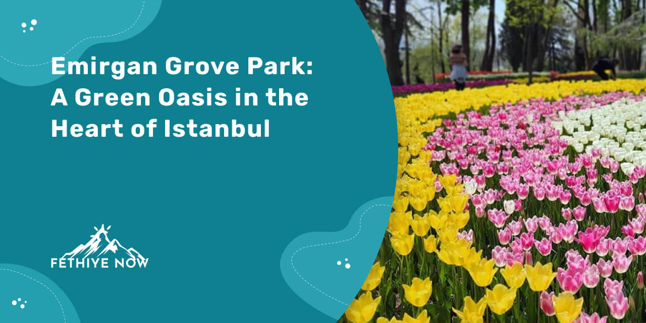 Emirgan Park: Location on the Map and Entrance Fee