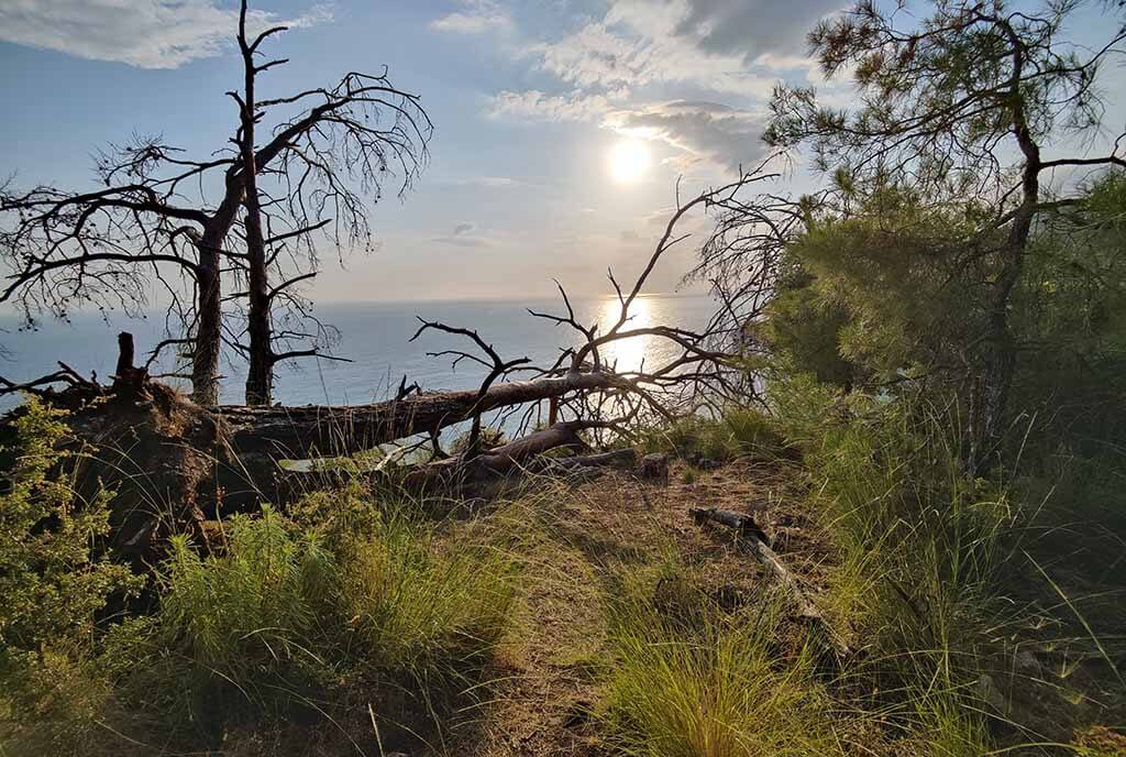Kabak Beach (Koyu) in Fethiye, Turkey: Location & Activities