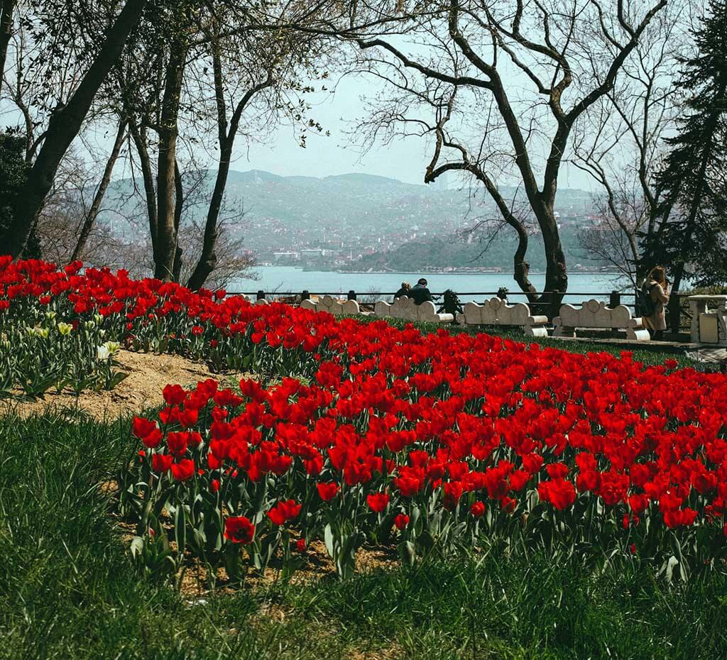 Emirgan Park: Location on the Map and Entrance Fee
